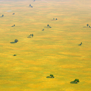 Terrain types - Humankind Encyclopedia